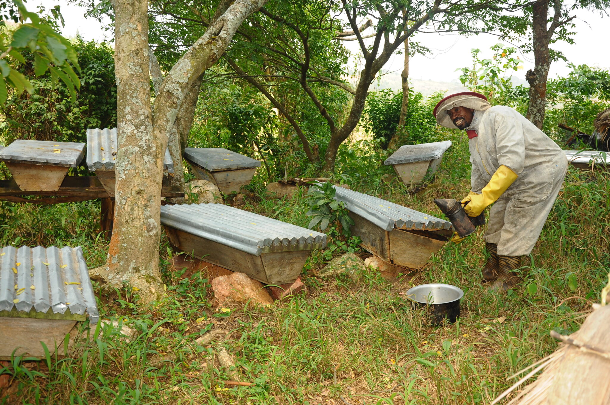 Our Products - Besania Sacco